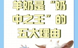 为什么中国不提倡喝羊奶_羊奶和牛奶哪个更适合中国人