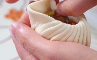 包子怎么包_包子皮怎么擀