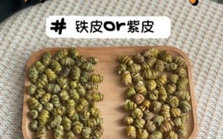 紫皮石斛和铁皮石斛哪个好_区别与功效对比