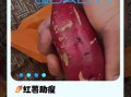 红薯减肥可以吃吗_红薯减肥怎么吃