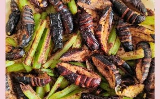 蚕蛹怎么做好吃_蚕蛹怎么处理干净