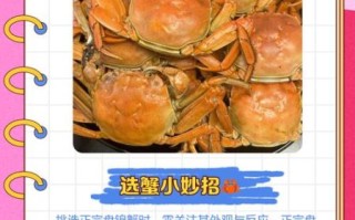 稻田蟹蒸多长时间_稻田蟹蒸多久才熟