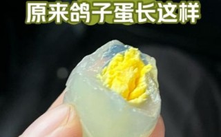 鸽子蛋壮阳效果真的好吗_鸽子蛋怎么吃最补肾