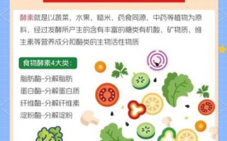 酵素的作用是什么_酵素能减肥吗