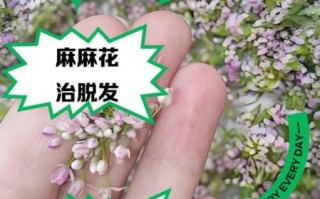 麻麻花有什么功效与作用_孕妇可以吃吗