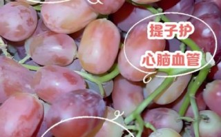 提子吃了有什么好处_提子能减肥吗