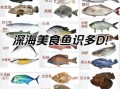 深海鱼类有哪些鱼_深海鱼常见品种
