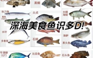 深海鱼类有哪些鱼_深海鱼常见品种