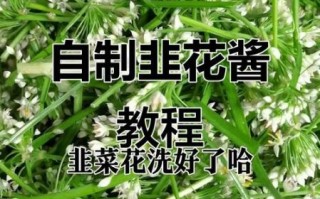 韭菜花怎么腌制好吃_韭菜花腌制配方
