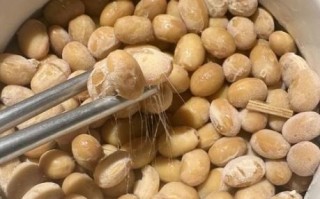纳豆怎么做_纳豆发酵温度是多少