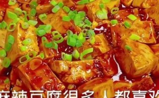 麻辣豆腐怎么做才好吃_家常麻辣豆腐的做法窍门