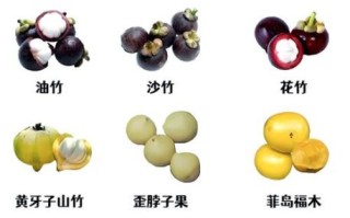 宝宝吃山竹禁忌_宝宝多大可以吃山竹