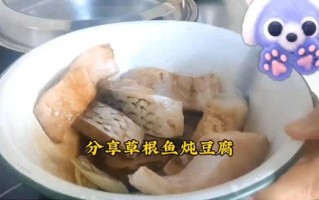 草鱼炖豆腐怎么做好吃_草鱼炖豆腐简单做法