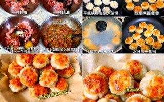 鸡肉饼的家常做法_鸡肉饼怎么做才嫩
