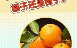 橘子吃多了会上火吗_橘子的功效与作用害处