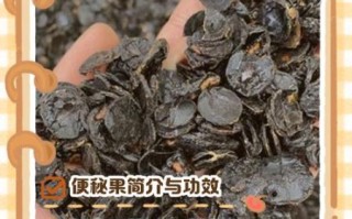 便秘果的功效与作用_便秘果怎么吃效果最好