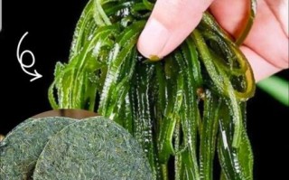 袋装干海带丝怎么泡发_袋装干海带丝怎么处理