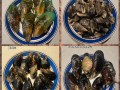 青口是什么意思_青口和淡菜的区别