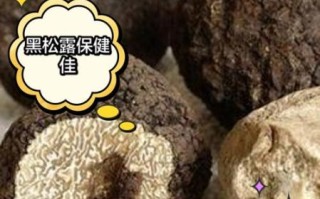 黑松露和白松露的区别_哪个更贵