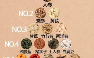 补气的中药有哪些_哪些中药补气效果最好