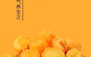 冬至吃什么最养生_冬至如何进补不上火