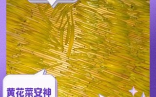 干黄花菜要焯水吗_干黄花菜怎么处理