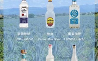 龙舌兰酒怎么喝_龙舌兰酒度数是多少