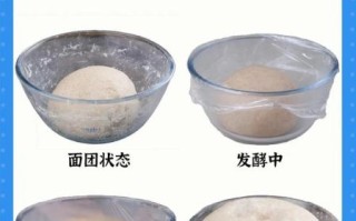 自制酵母怎么做_自制酵母配方比例