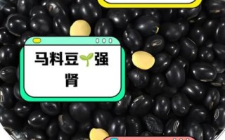 黑豆补肾吗_黑豆怎么吃最补肾