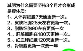 胖人怎么变成易瘦体质_易瘦体质如何养成