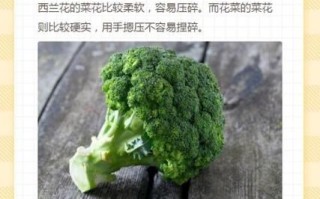 花菜和菜花是一种菜吗_区别与选购指南