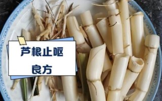 芦根水的功效与作用及禁忌症_孕妇能喝吗