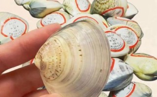 蛤蜊油的副作用有哪些_蛤蜊油擦脸会过敏吗