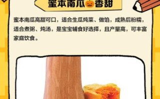 蜜本南瓜的功效与作用_蜜本南瓜怎么吃最营养