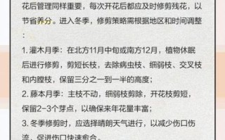 花凋谢后怎么处理_如何让花再次盛开