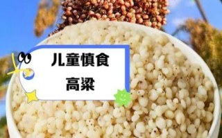 高粱米什么人不能吃_禁忌人群全解析