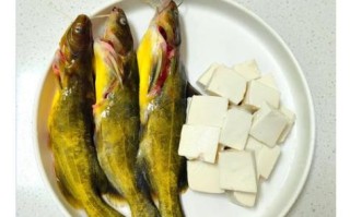 鱼汤豆腐补钙吗_鱼汤豆腐补钙效果怎么样