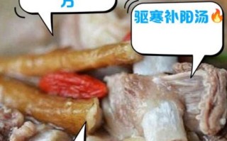 生姜羊肉汤怎么做_生姜羊肉汤的功效与禁忌