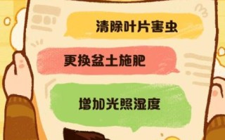 芭蕉叶怎么养_芭蕉叶发黄怎么办