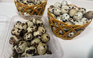 卤鹌鹑蛋怎么做好吃_卤鹌鹑蛋要煮多久才入味