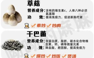各种蘑菇图片大全_如何辨别可食用蘑菇