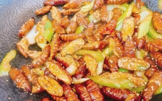 蝉蛹怎么处理可以食用_蝉蛹怎么做好吃