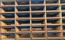 奥龙赛鸽俱乐部怎么样_如何加入奥龙赛鸽俱乐部