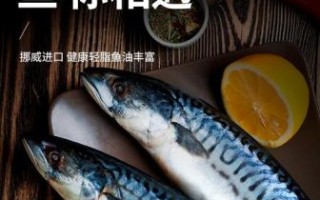 鲭鱼的营养价值及功效_孕妇能吃吗