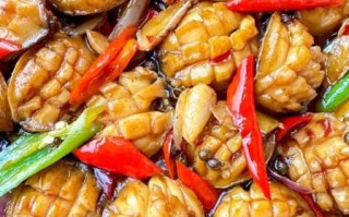 鲍鱼煲汤的做法大全_鲍鱼煲汤怎么做好吃