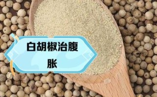 白胡椒粉的功效与禁忌_孕妇能吃吗