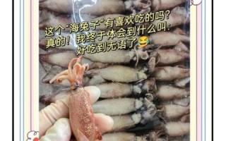 新鲜海兔怎么做好吃_海兔最鲜的三种做法