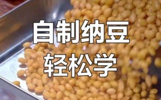 纳豆怎么做最正宗_纳豆的传统做法步骤