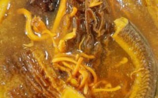 黄鳝炖汤怎么做_黄鳝炖汤的家常做法大全