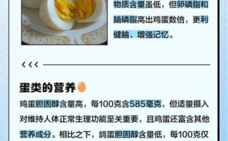 鸽子蛋和鸡蛋哪个更营养_鸽子蛋一天吃几个合适